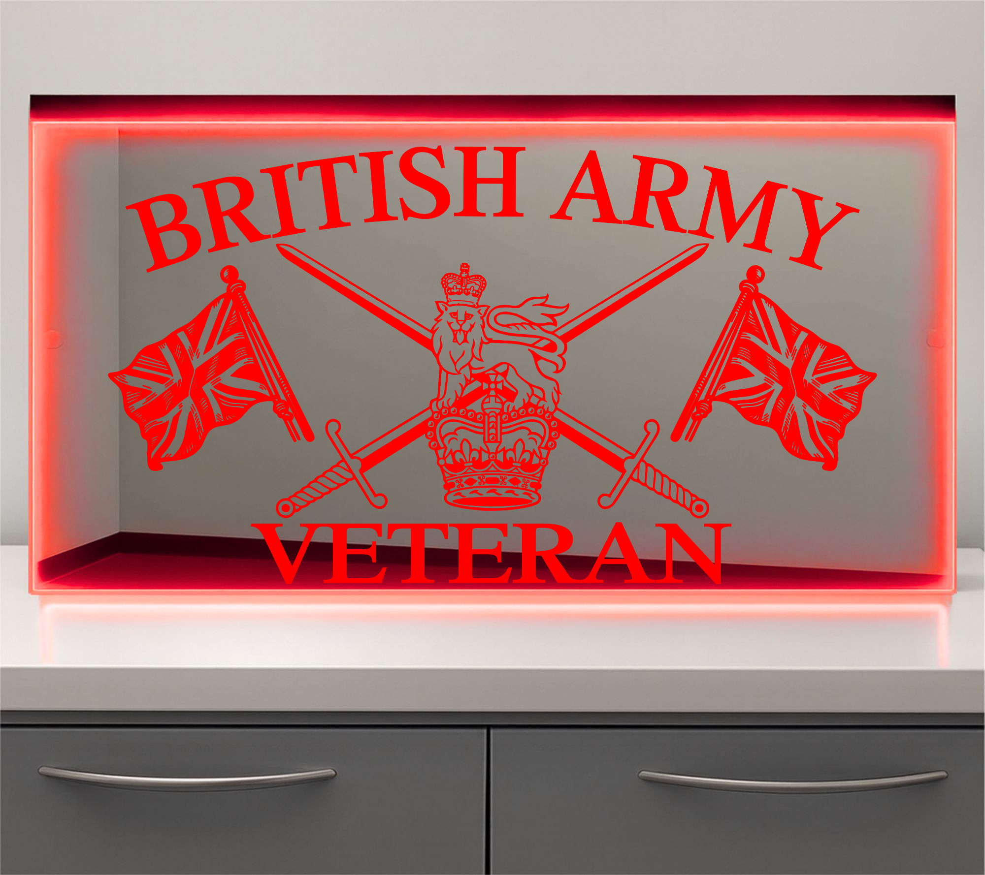 British Army Veteran Bulkhead LED Mirror Light – Customisable RGB Disp ...