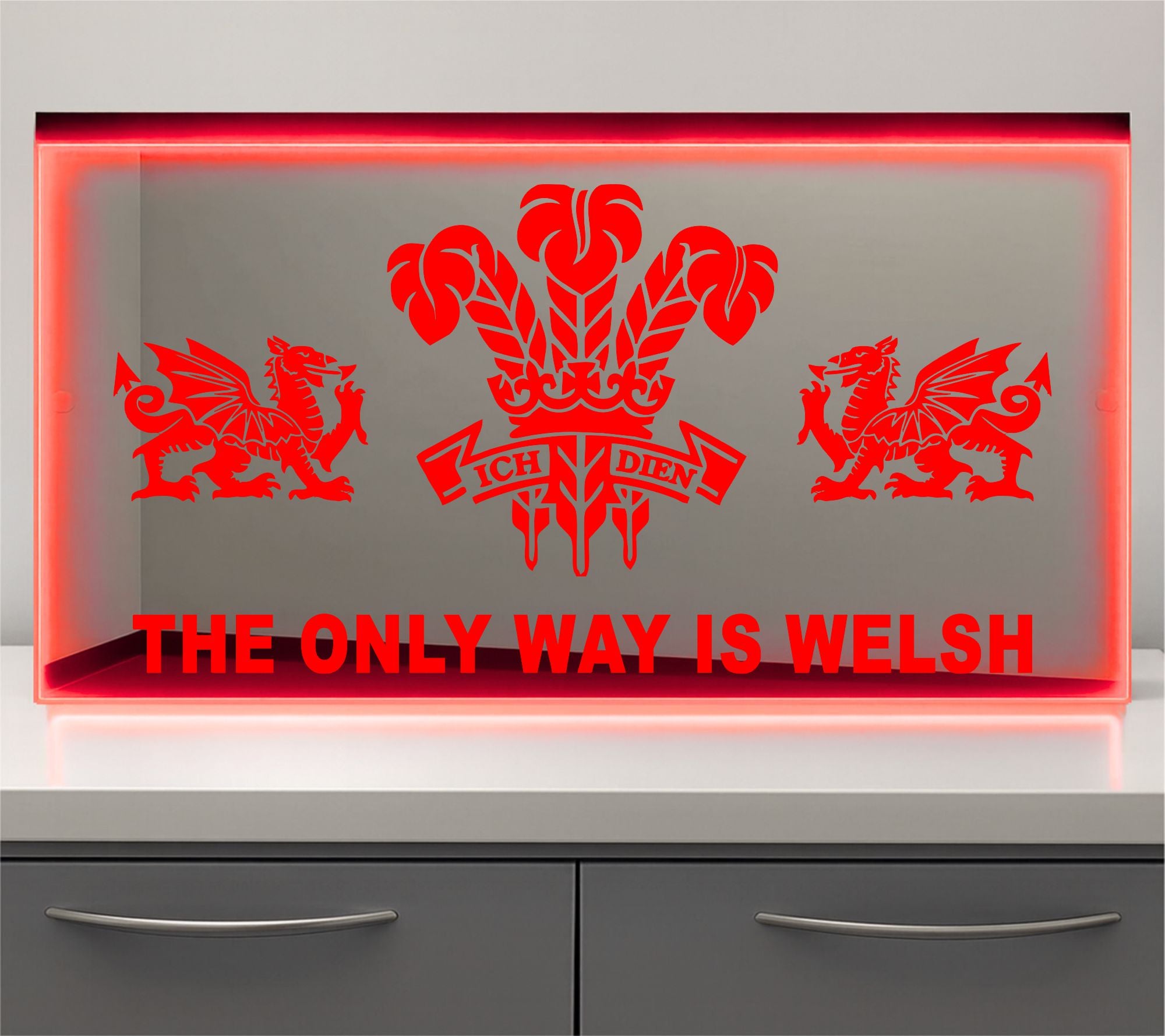 The only way is Welsh Regiment Bulkhead LED Mirror Light – Customisabl ...